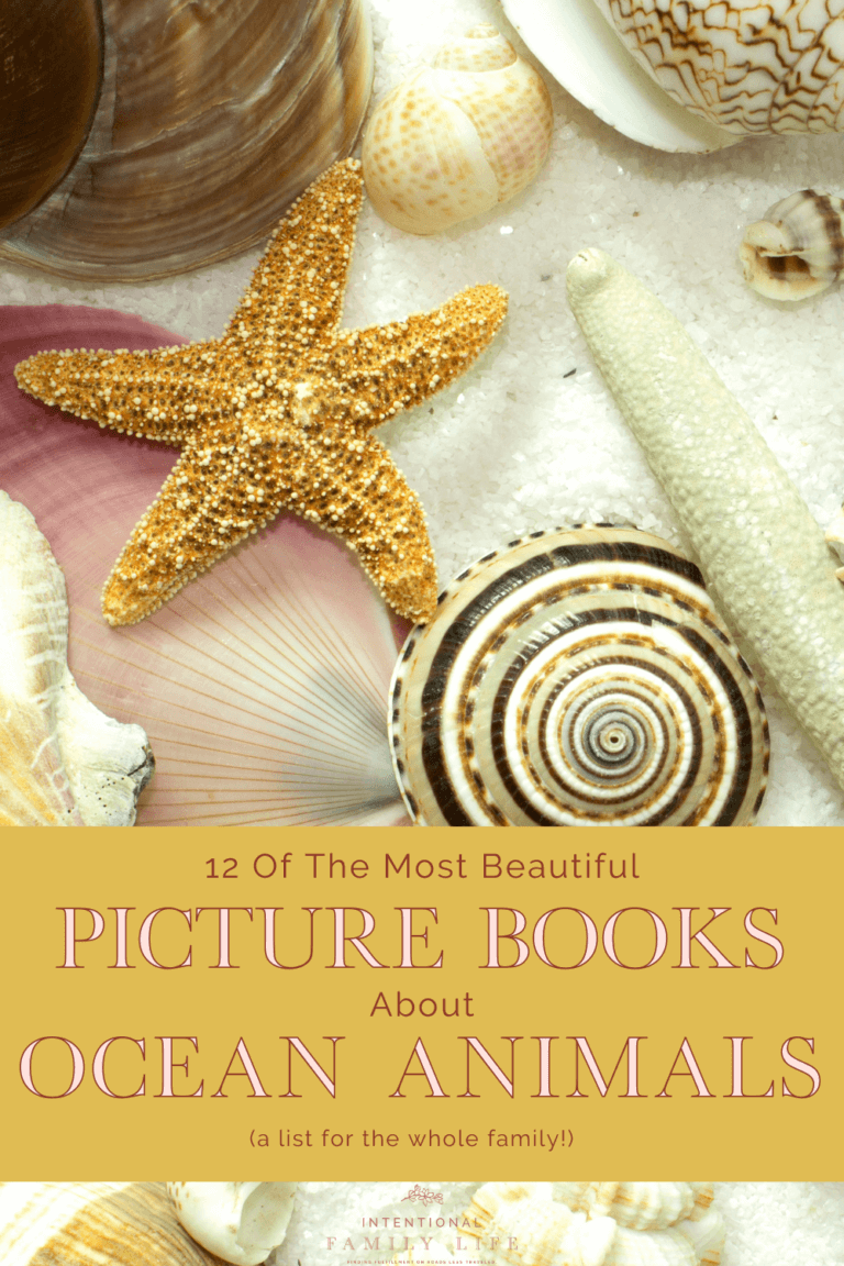 12 Of The Most Beautiful Picture Books About Animals That Live In The ...