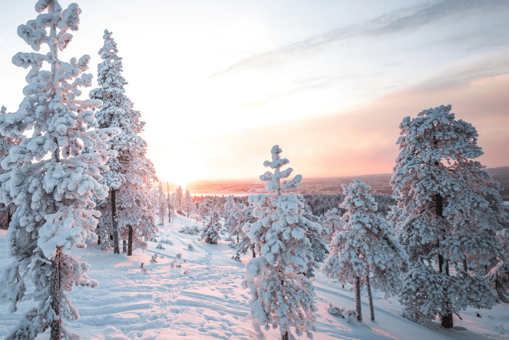 9 Charming Winter Solstice Traditions For The Whole Family To Enjoy ...
